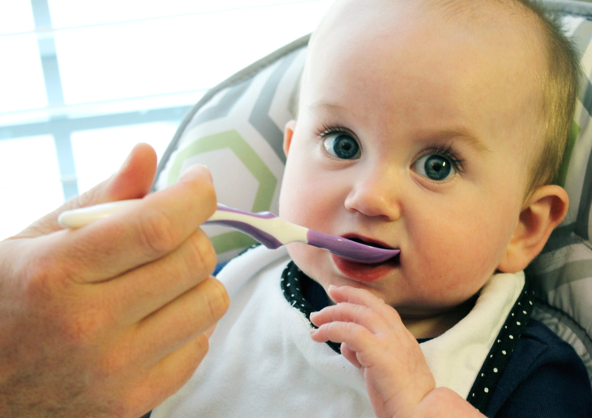 Baby Weaning Chart - UPDATED 2017 – Kat French Design